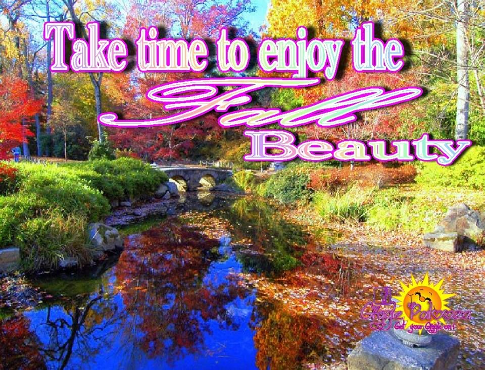 Take Time To Enjoy The Fall Beauty Pictures, Photos, and Images for ...