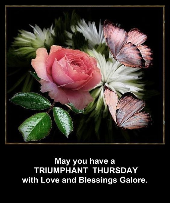 May You Have A Triumphant Thursday With Love And Blessings Galore ...