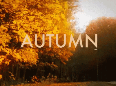 Leaves Falling From Tree Gif