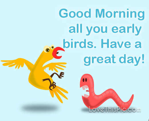 Early Birds Pictures, Photos, and Images for Facebook, Tumblr ...