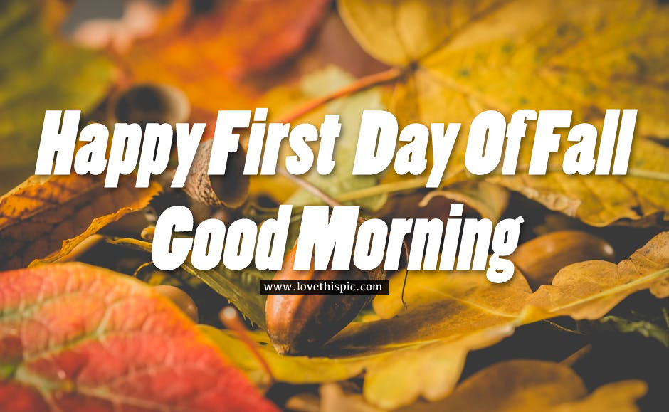 Colorful Leaf Happy First Day Of Fall Good Morning Image Pictures ...
