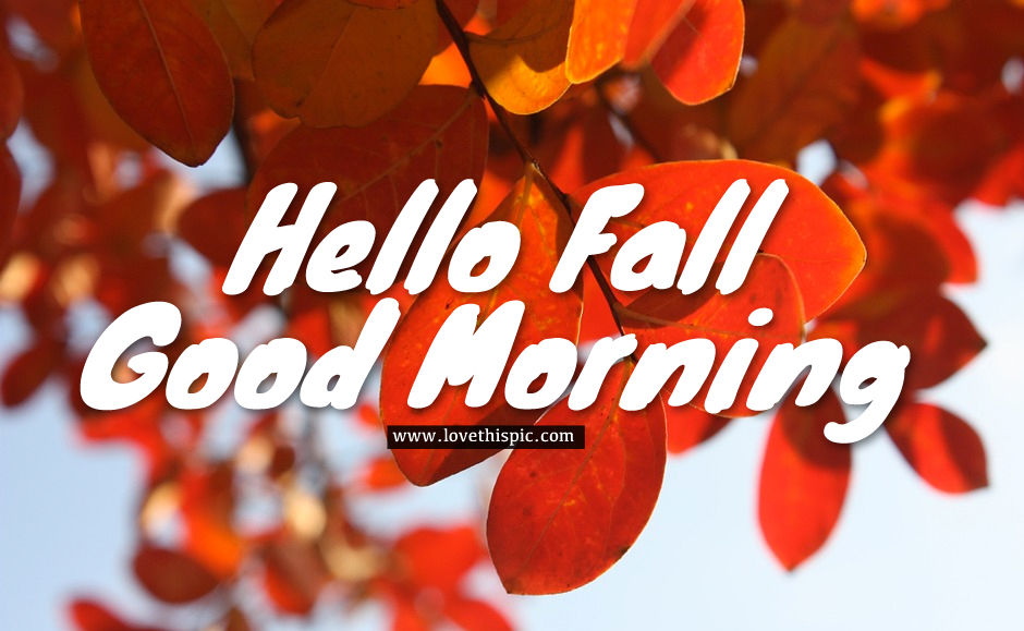 Red Tree Hello Fall Good Morning Image Pictures, Photos, and Images for ...