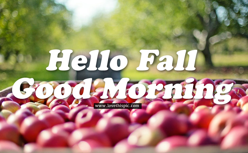 Apple Hello Fall Good Morning Image Pictures, Photos, and Images for ...
