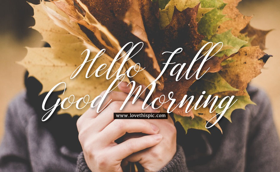 Maple Leaves Hello Fall Good Morning Image Pictures, Photos, and Images ...