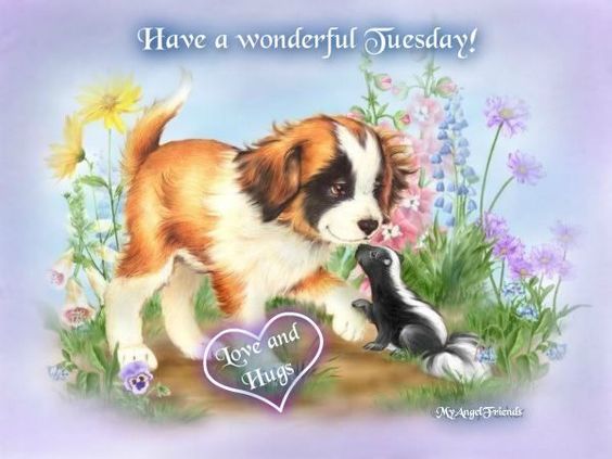 Puppy Wonderful Tuesday Image Pictures, Photos, and Images for Facebook ...