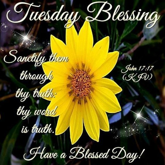 Thy Word Is Truth, Tuesday Blessing Pictures, Photos, and Images for ...