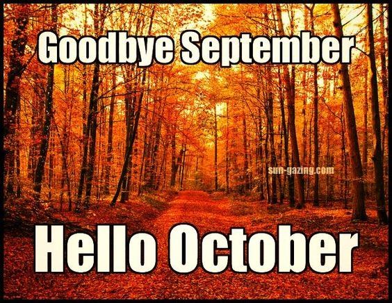 Orange Forest Goodbye September Hello October Pictures, Photos, and ...