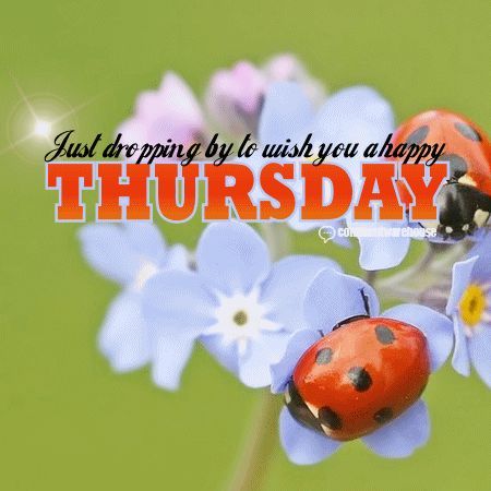 Just Dropping By To Wish You A Happy Thursday Pictures, Photos, and ...