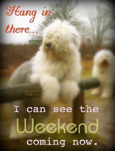 Hang In There, I Can See The Weekend Coming Now Pictures, Photos, and ...