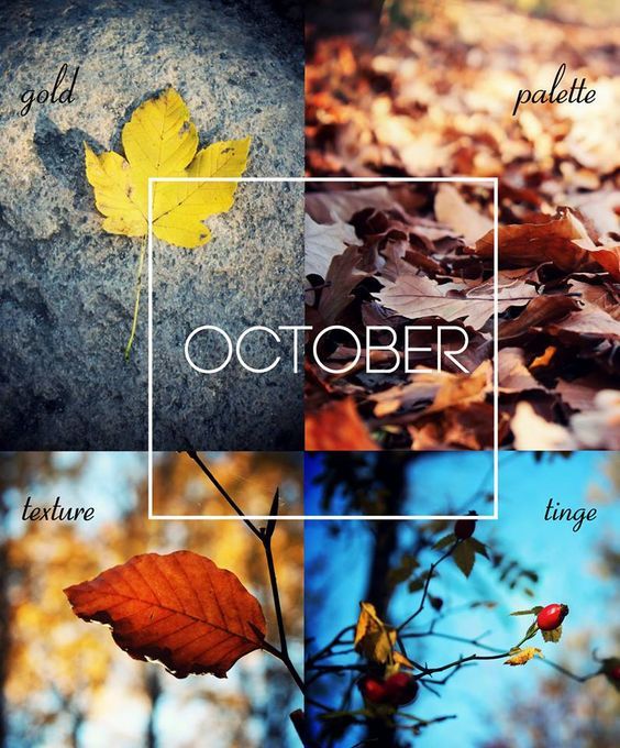Collage Of October Pictures, Photos, and Images for Facebook, Tumblr ...