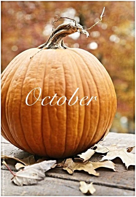 Pumpkin October Image Pictures, Photos, and Images for Facebook, Tumblr ...