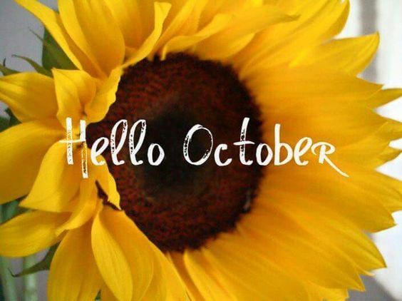 Sunflower Hello October Image Pictures, Photos, and Images for Facebook ...