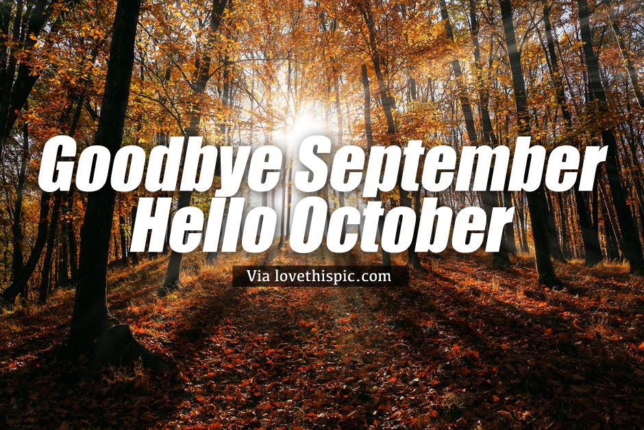 Fall Forest, Goodbye September Hello October Pictures, Photos, and ...
