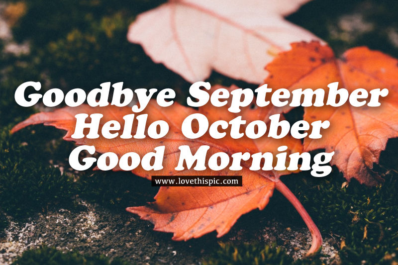 Orange Leaf, Goodbye September Hello October Good Morning Image ...