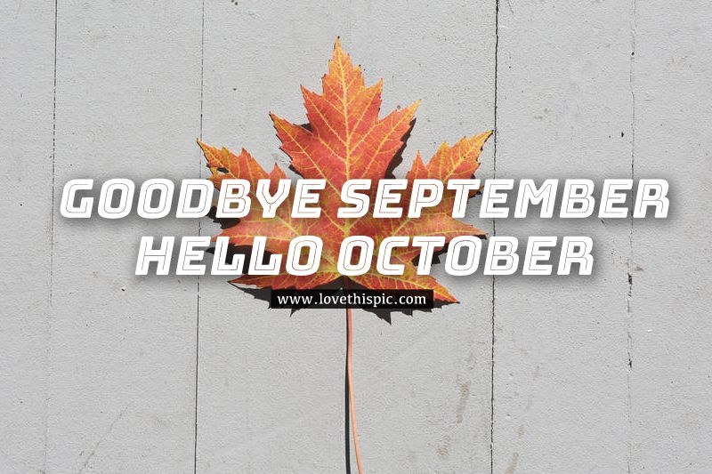 Orange Leaf Goodbye September, Hello October Image Pictures, Photos ...