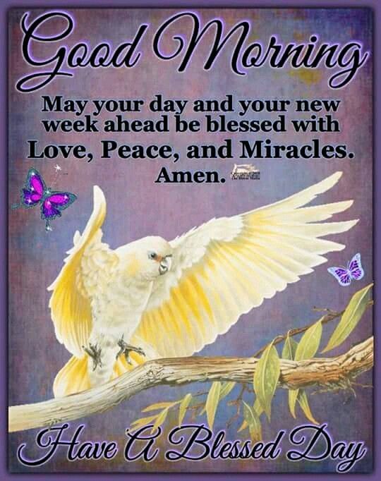 Good Morning, Have A Blessed Day Pictures, Photos, and Images for ...