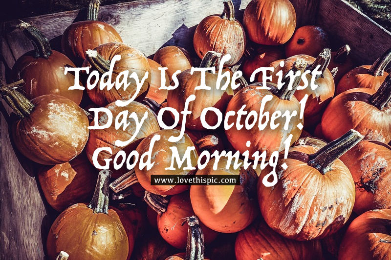 First Day Of October! Good Morning Pumpkin Image Pictures, Photos, and ...