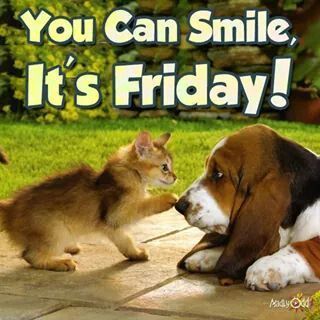 You Can Smile, It's Friday! Pictures, Photos, and Images for Facebook ...