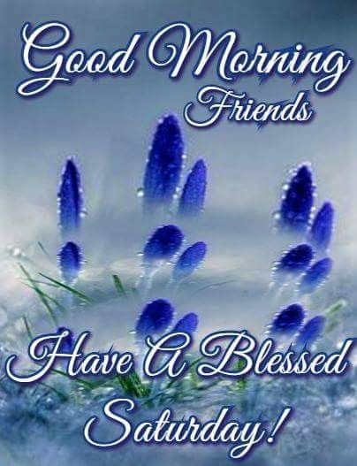A Blessed Saturday, Good Morning Pictures, Photos, and Images for ...