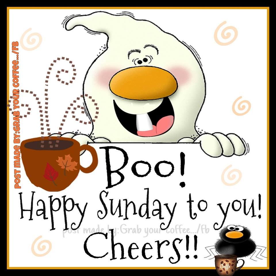 Boo! Happy Sunday To You! Cheers!! Pictures, Photos, and Images for ...