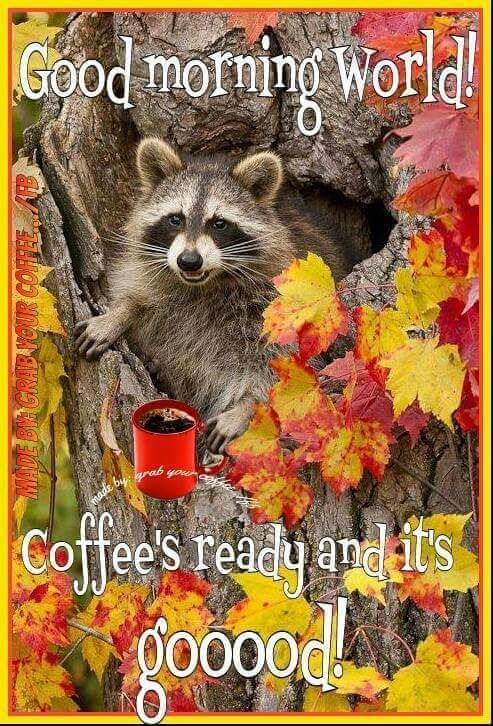 Good Morning World! Pictures, Photos, and Images for Facebook, Tumblr ...