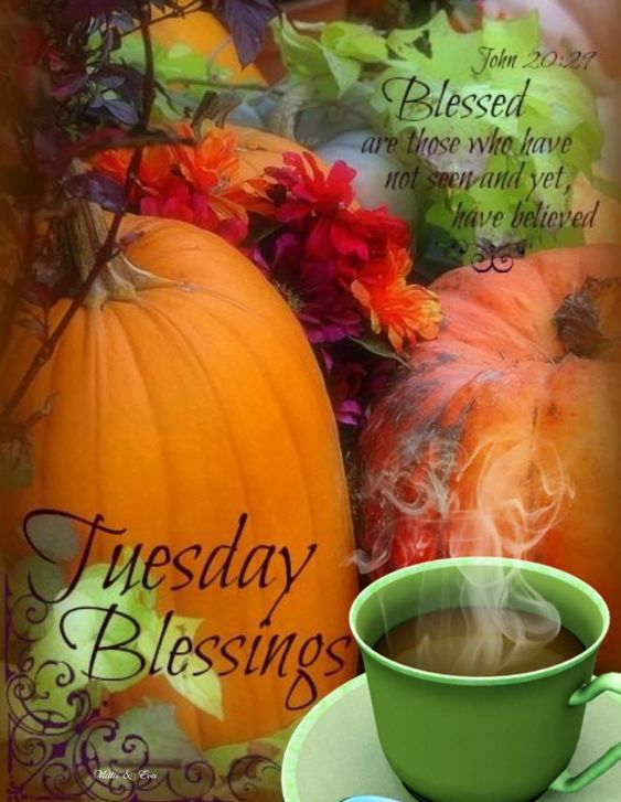 Pumpkin Tuesday Blessings Pictures, Photos, and Images for Facebook ...