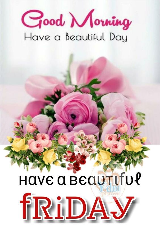 Have A Beautiful Morning And Friday Pictures, Photos, and Images for ...