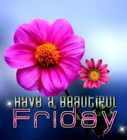 Flower Beautiful Friday Image Pictures, Photos, and Images for Facebook ...