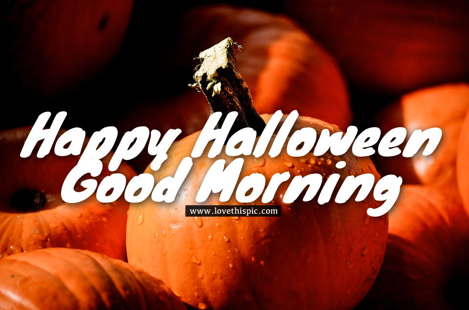 Wet Pumpkin Happy Halloween Good Morning Image Pictures, Photos, and ...