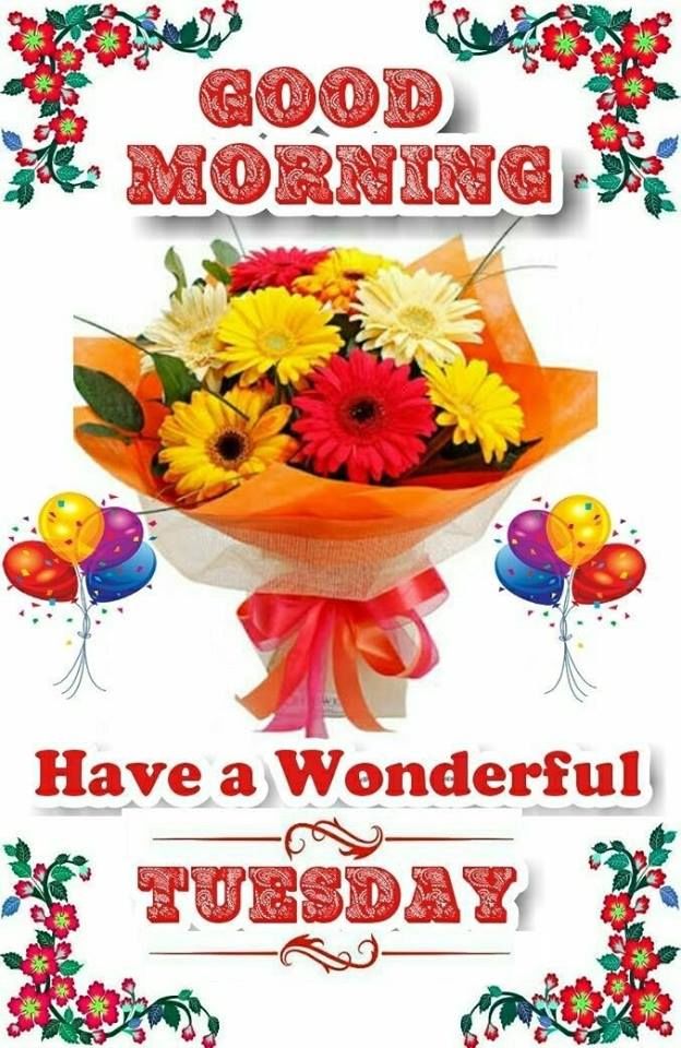 Wonderful Good Morning Tuesday Pictures, Photos, and Images for ...