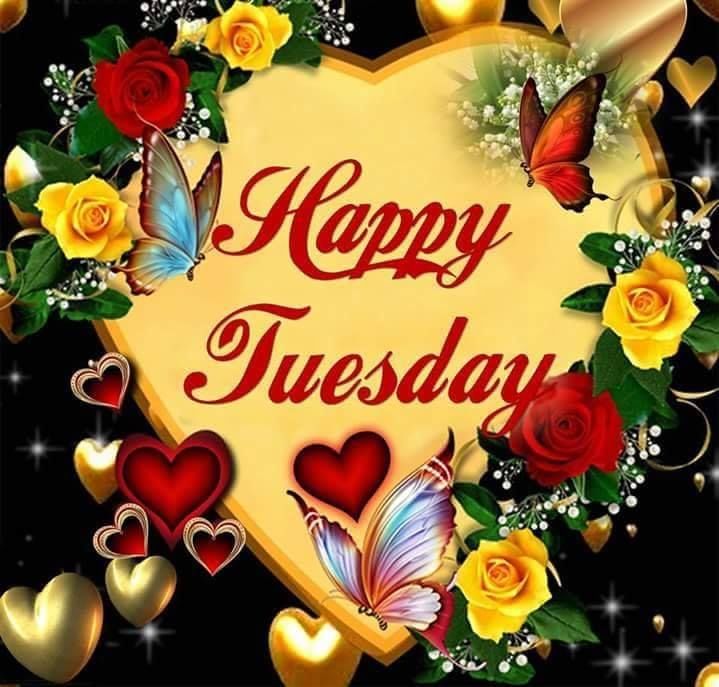 Butterfly Rose Happy Tuesday Pictures, Photos, and Images for Facebook ...