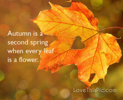 Autumn Is A Second Spring Pictures, Photos, and Images for Facebook ...