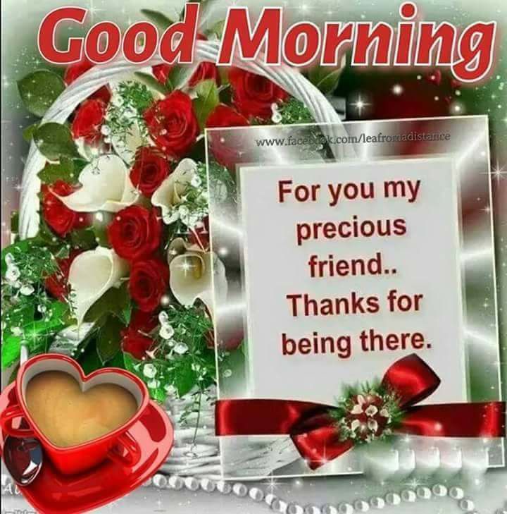 Good Morning, For You My Precious Friend... Pictures, Photos, and ...