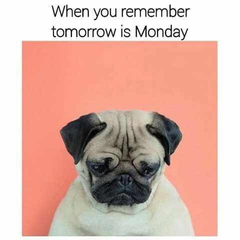 When You Remember Tomorrow Is Monday Pictures, Photos, and Images for ...
