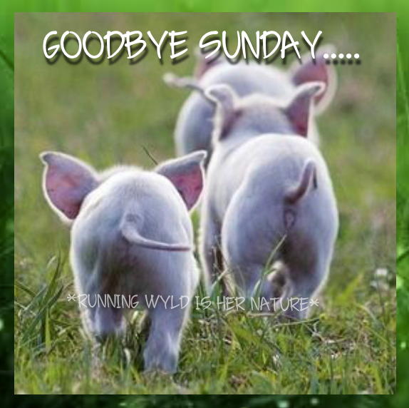 Goodbye Sunday... Pictures, Photos, and Images for Facebook, Tumblr ...