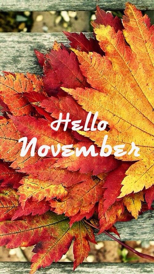 Multi Leaf Hello November Quote Pictures, Photos, and Images for ...