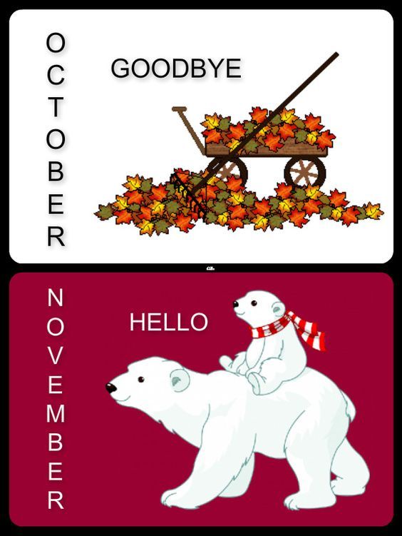 Season Changing - Goodbye October, Hello November Pictures, Photos, and ...