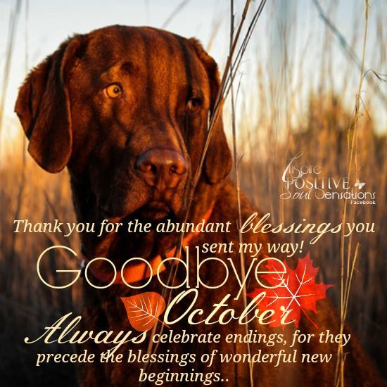 Thank You For All The Abundant Blessings You Sent My Way! Goodbye ...