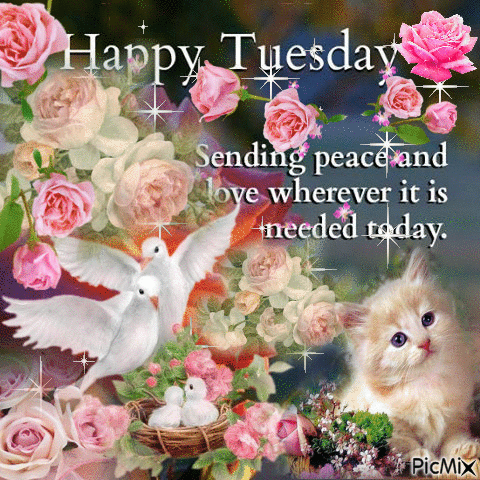 Sending Peace And Love Wherever It Is Needed Today. Happy Tuesday ...