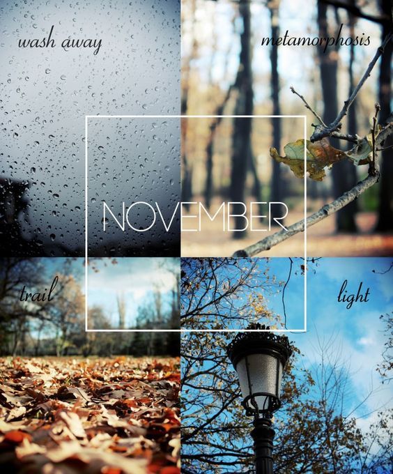 November Collage Pictures, Photos, and Images for Facebook, Tumblr ...