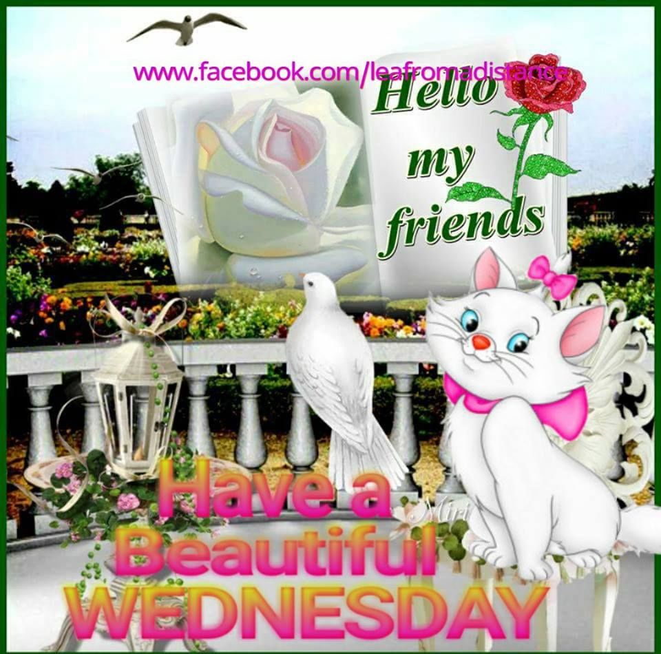 Hello My Friends, Have A Beautiful Wednesday Pictures, Photos, and ...
