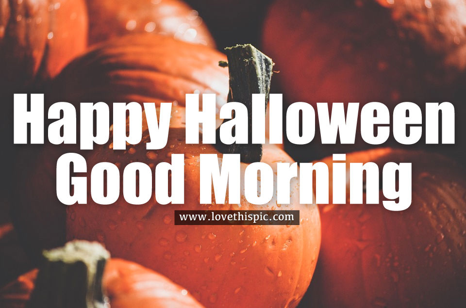 Fresh Pumpkin Happy Halloween Good Morning Pictures, Photos, and Images ...