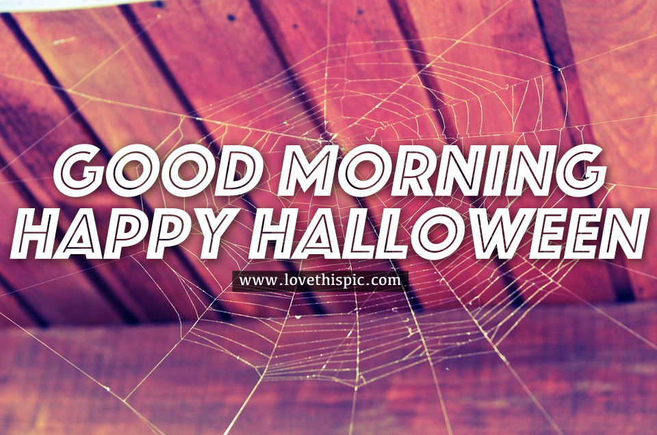Spider Web, Good Morning Happy Halloween Quote Pictures, Photos, and ...
