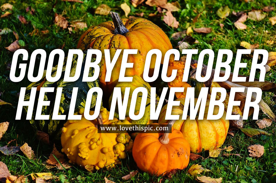 Squash Goodbye October, Hello November Pictures, Photos, and Images for ...