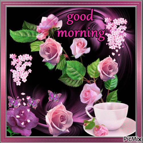 Pink Rose Good Morning Gif Pictures, Photos, and Images for Facebook ...