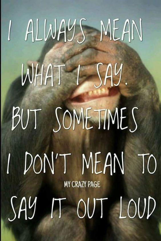 I Always Mean What I Say. But Sometimes I Dont Mean To Say It Out Loud ...