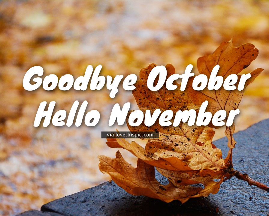 Foilage Goodbye October, Hello November Pictures, Photos, and Images ...