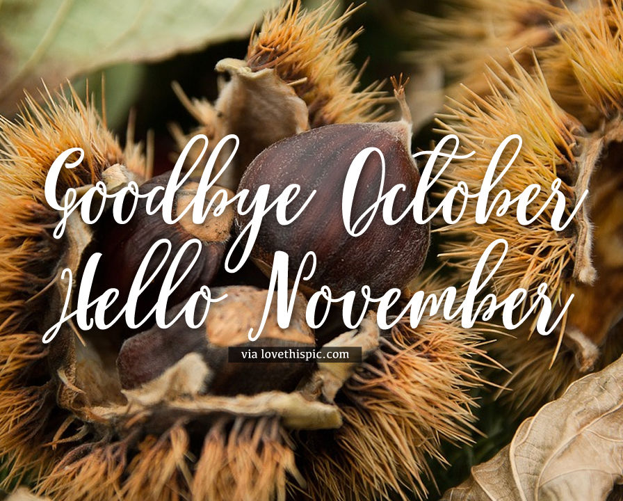 Chestnut Goodbye October, Hello November Pictures, Photos, and Images ...