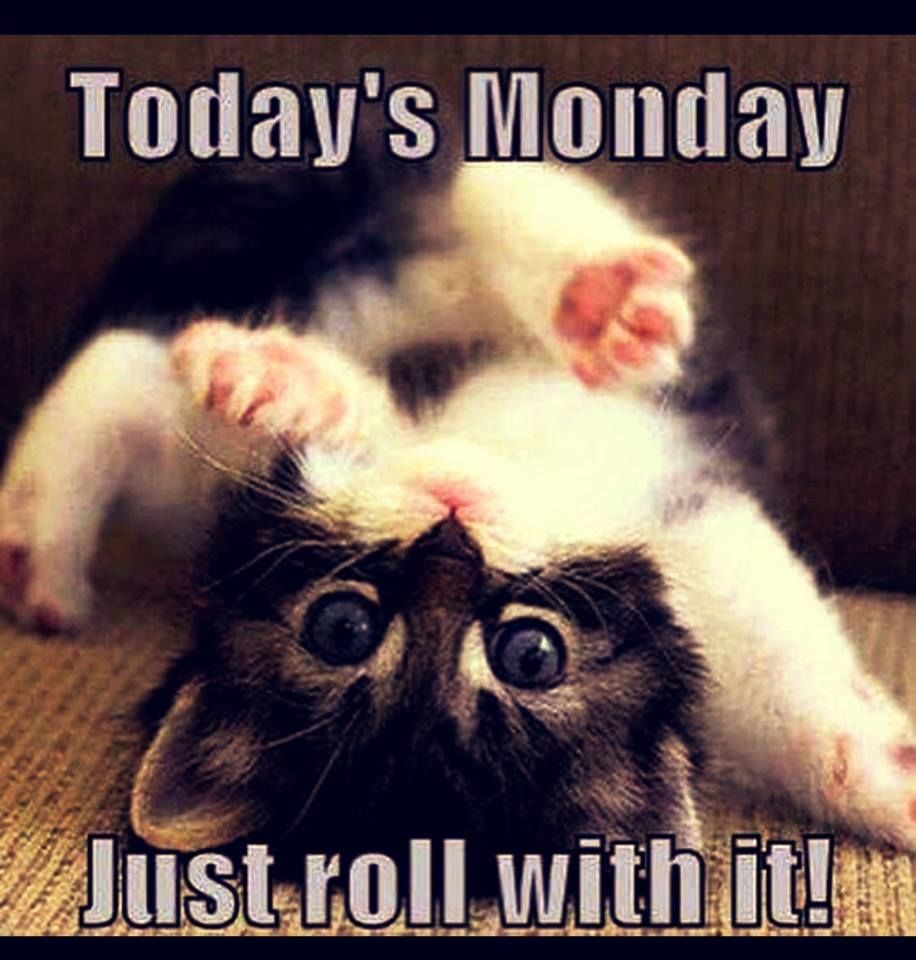 Today's Monday. Just Roll With It! Pictures, Photos, and Images for ...