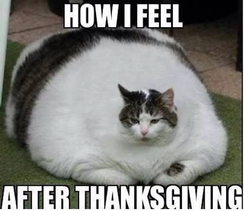 How I Feel After Thanksgiving Pictures, Photos, and Images for Facebook ...